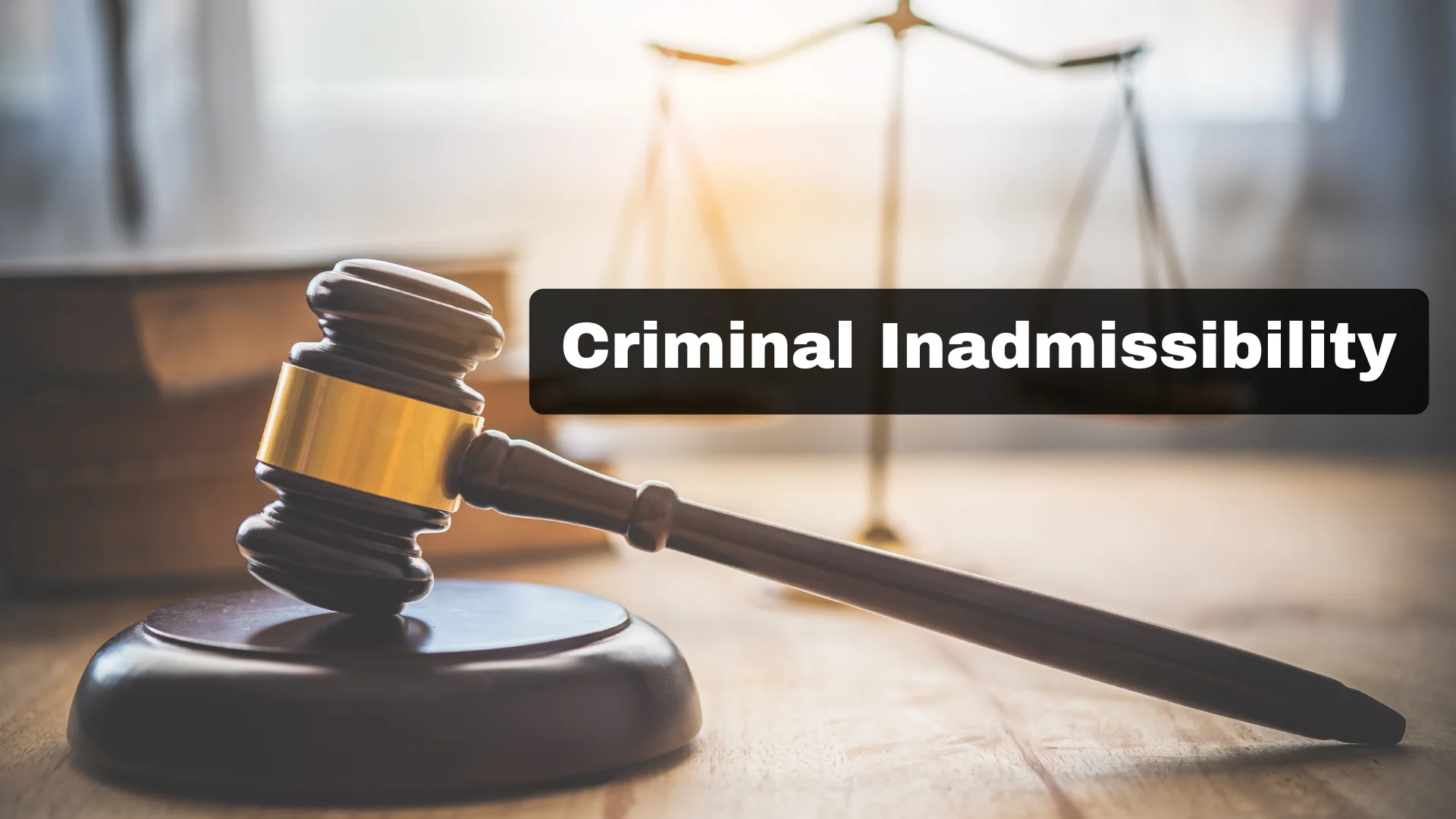 Criminal Inadmissibility: U.S. Citizens, Green Card Holders, and U.S ...